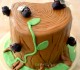 Cicada Invasion Cake | Eat It & Say Yum